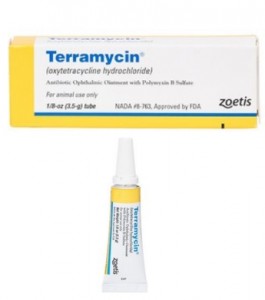 Terramycin Ophthalmic Ointment - Wilco Farm Stores