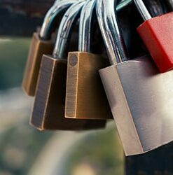 Shop Home, Backyard, Pet, Farm & Rural Lifestyle - Wilco Farm Stores