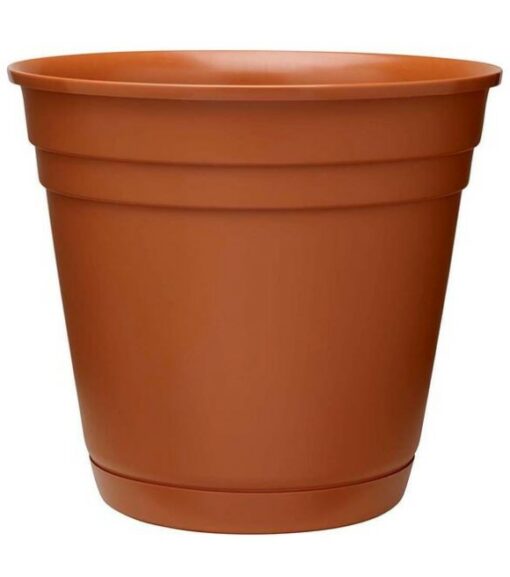 Southern Patio, 4" Riverland Planter with Saucer - Wilco Farm Stores