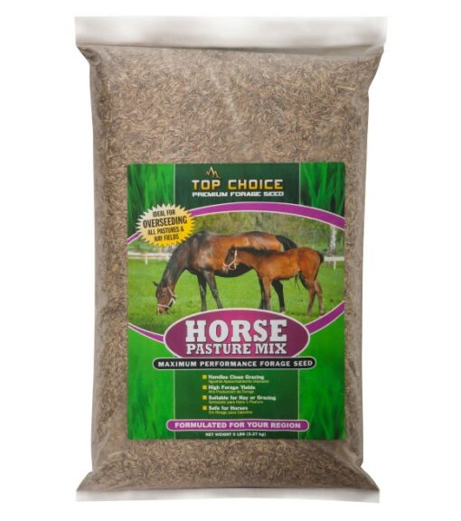 Top Choice, Horse Pasture Alpha Seed Mix, 5 lb | Wilco