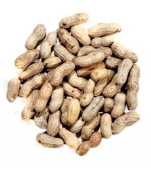 Nature's Nuts, Premium Whole In-shell Peanuts - Wilco Farm Stores
