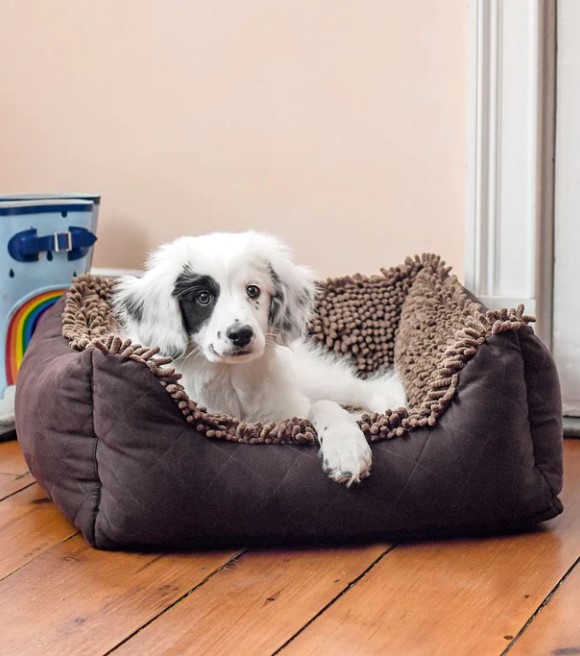 Dirty Dog, Lounger Dog Bed - Wilco Farm Stores