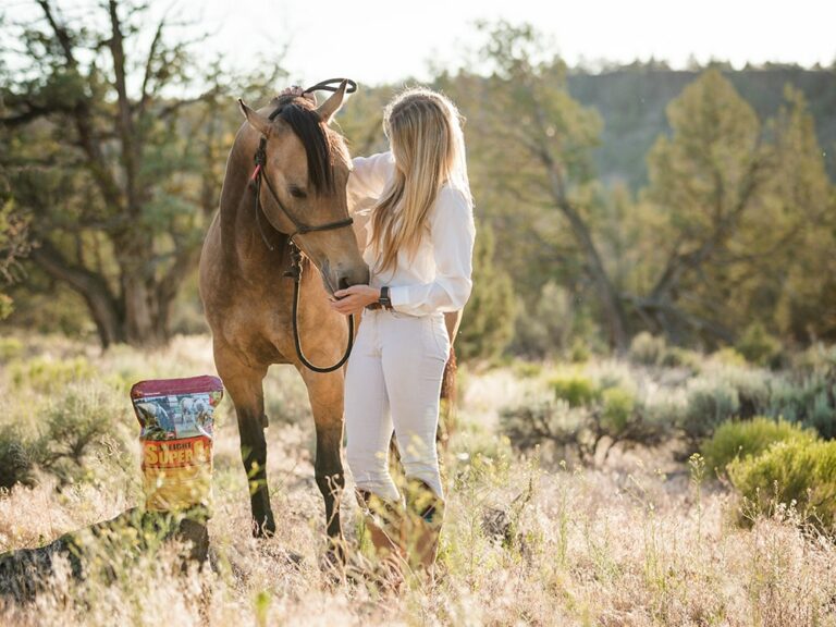Shop Home, Backyard, Pet, Farm & Rural Lifestyle - Wilco Farm Stores