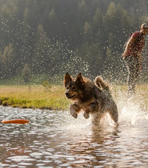 Ruffwear, Hydro Plane Floating Dog Throw Toy - Wilco Farm Stores