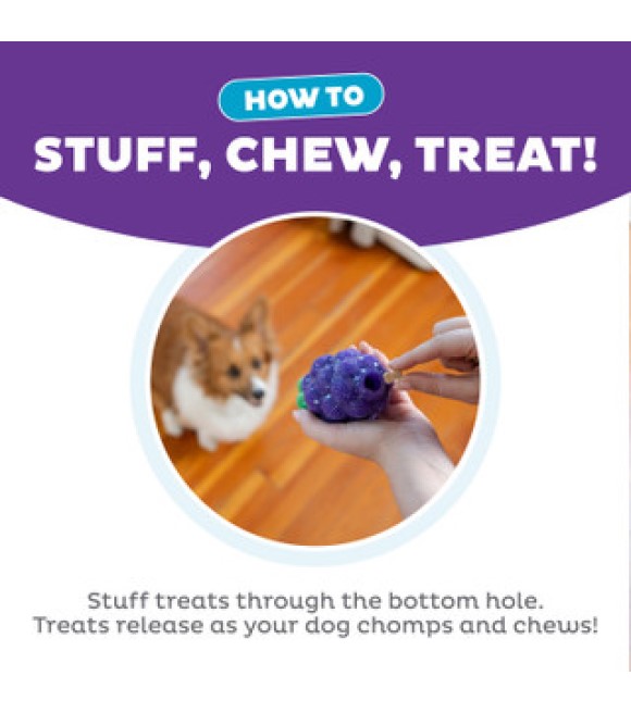 Outward Hound, Dental Grape Dog Chew Toy - Wilco Farm Stores