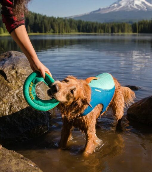 Ruffwear, Hydro Plane Floating Dog Throw Toy - Wilco Farm Stores