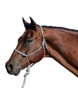 Classic Equine, Rope Halter & 9 ft Lead Rope - Wilco Farm Stores