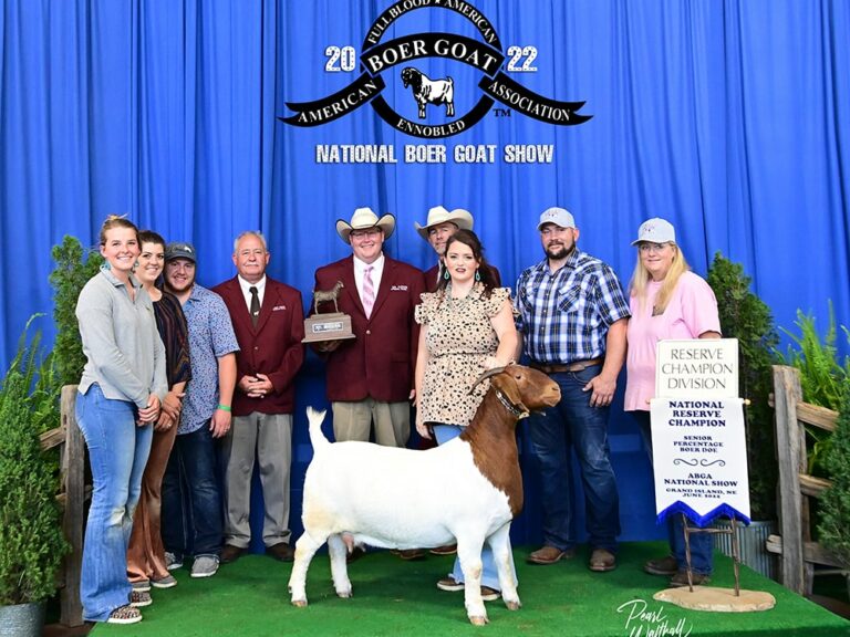 Shop Home, Backyard, Pet, Farm & Rural Lifestyle - Wilco Farm Stores