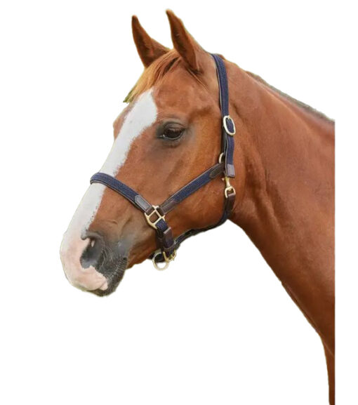 Kincade, Navy Braided Leather Breakaway Headcollar - Wilco Farm Stores