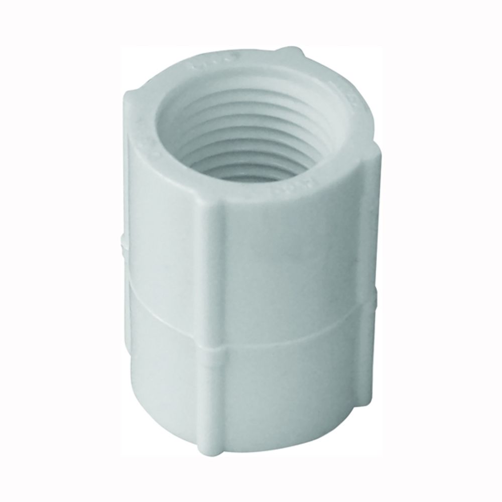 GENOVA 300 Series 30125 Pipe Coupler, 1/2… P, White | Wilco