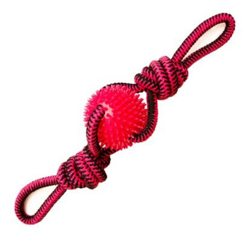 Snugarooz, 24" Spikey Beast Assorted Colors Dog Toy | Wilco