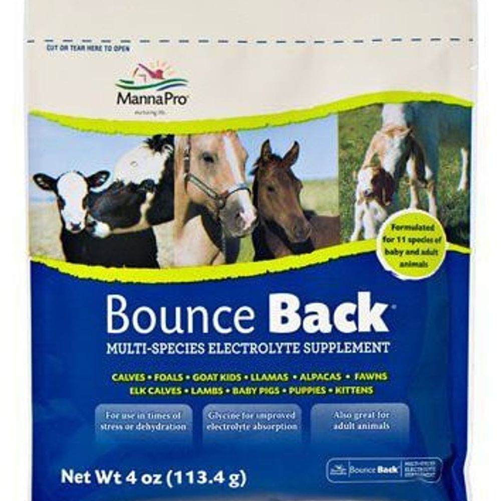 Manna Pro Bounce Back Electrolyte, 4 oz. | Wilco